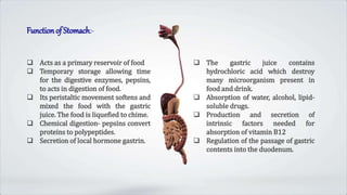 Human digestive system | PPT