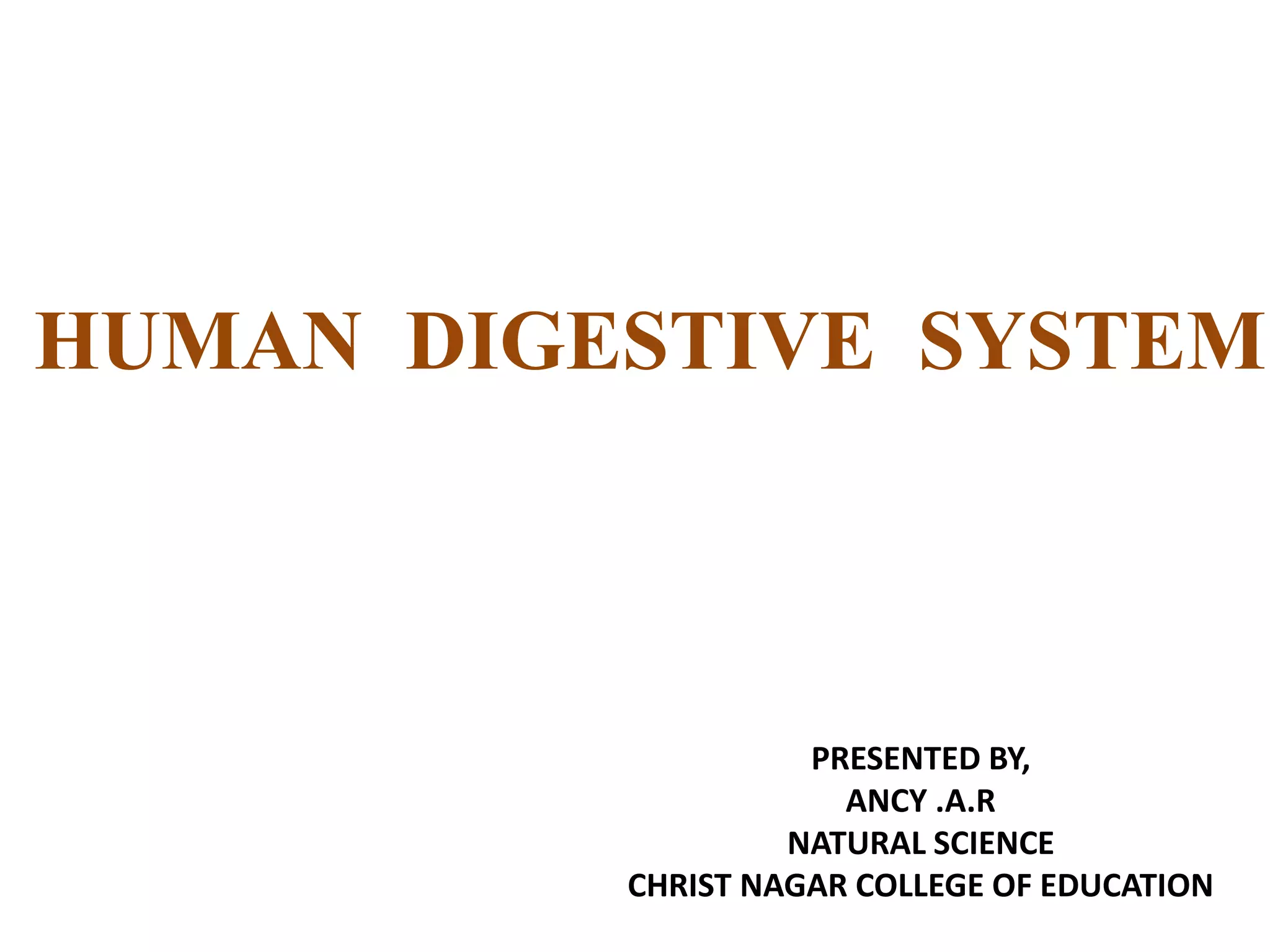 Human digestive system | PPT