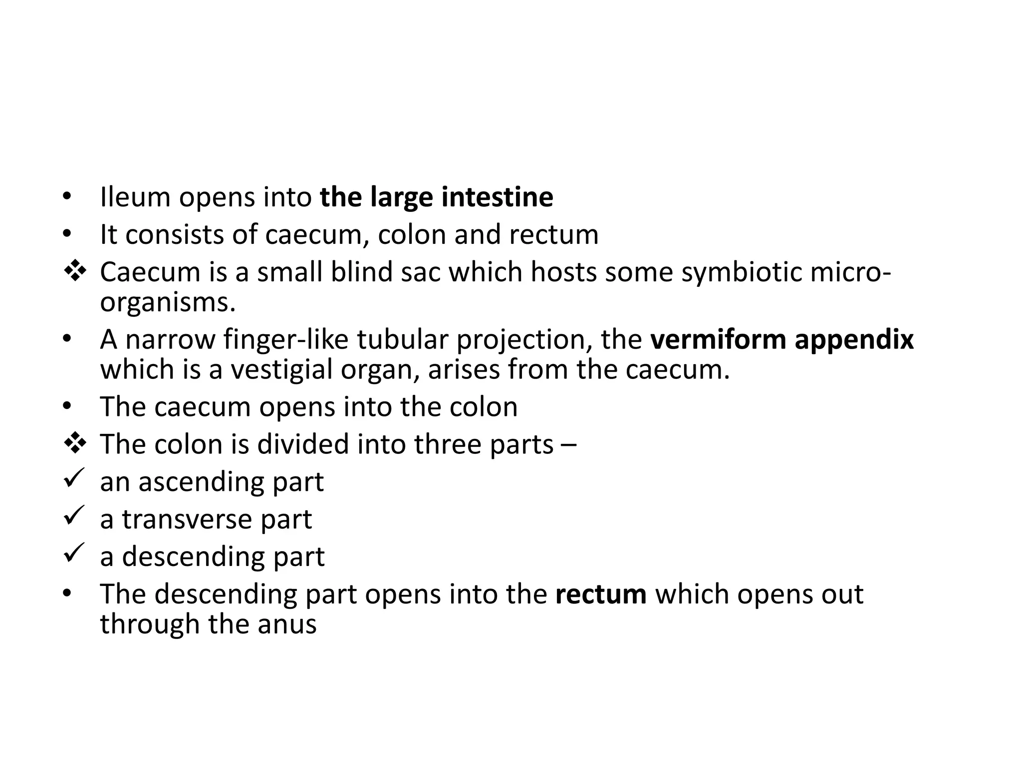 Human digestive system | PPTX
