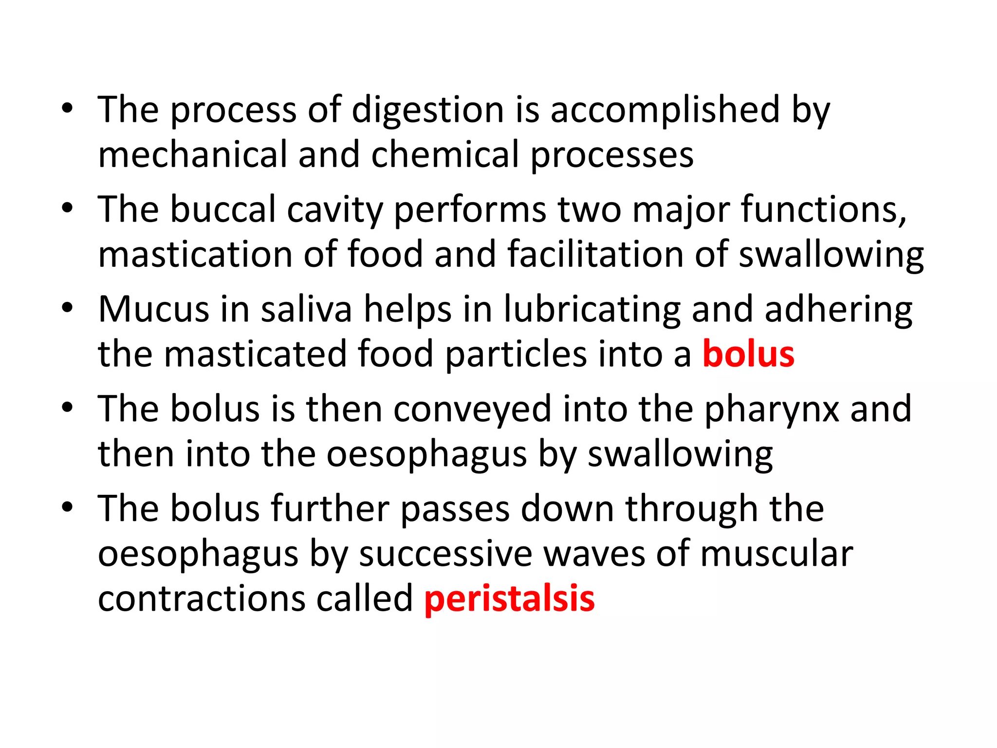 Human digestive system | PPTX