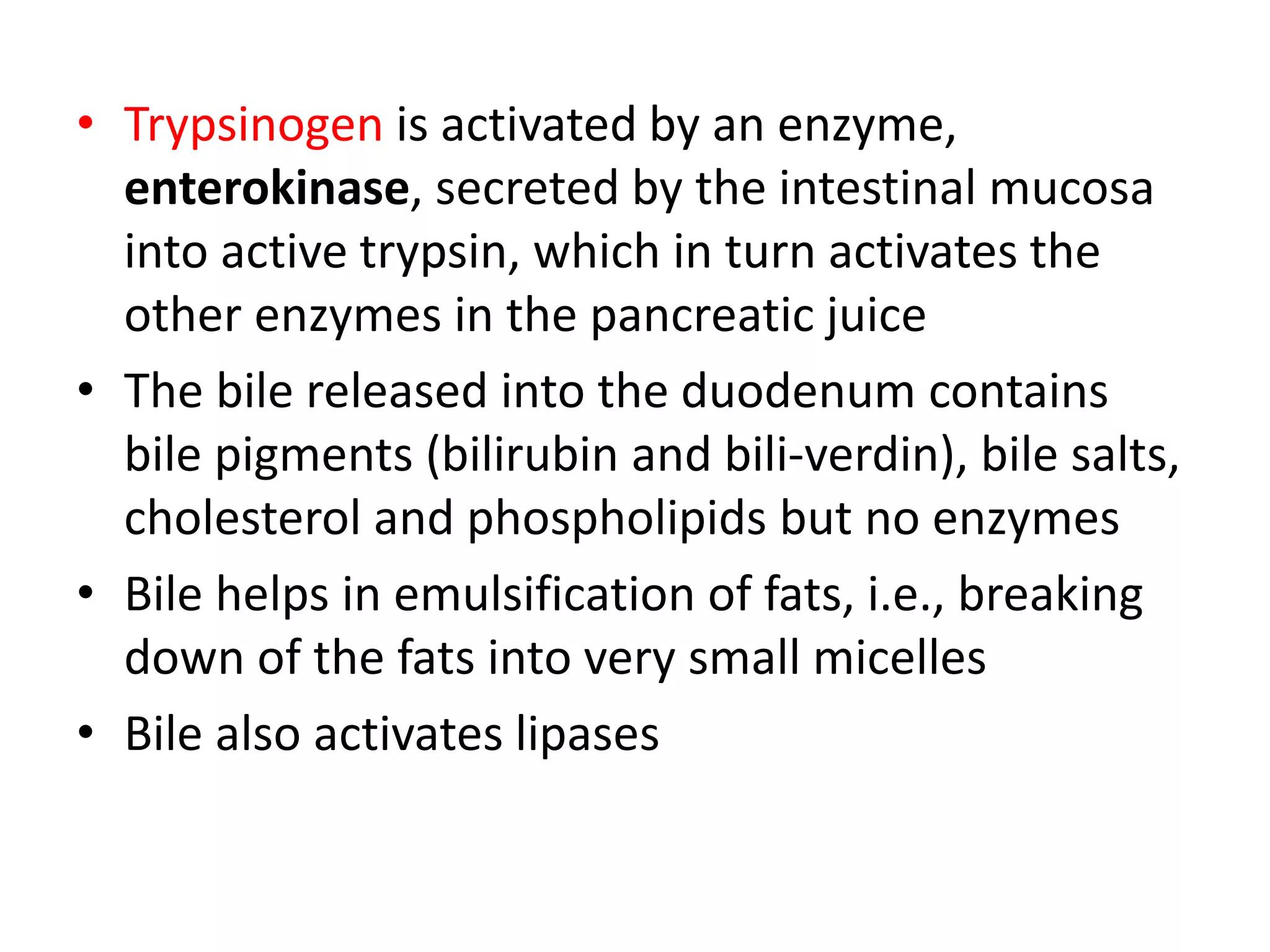 Human digestive system | PPTX