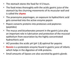 Human digestive system | PPTX