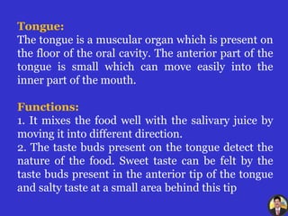 Human digestive system | PPTX | Dental Health | Diseases and Conditions