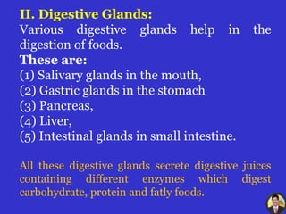 Human digestive system | PPTX