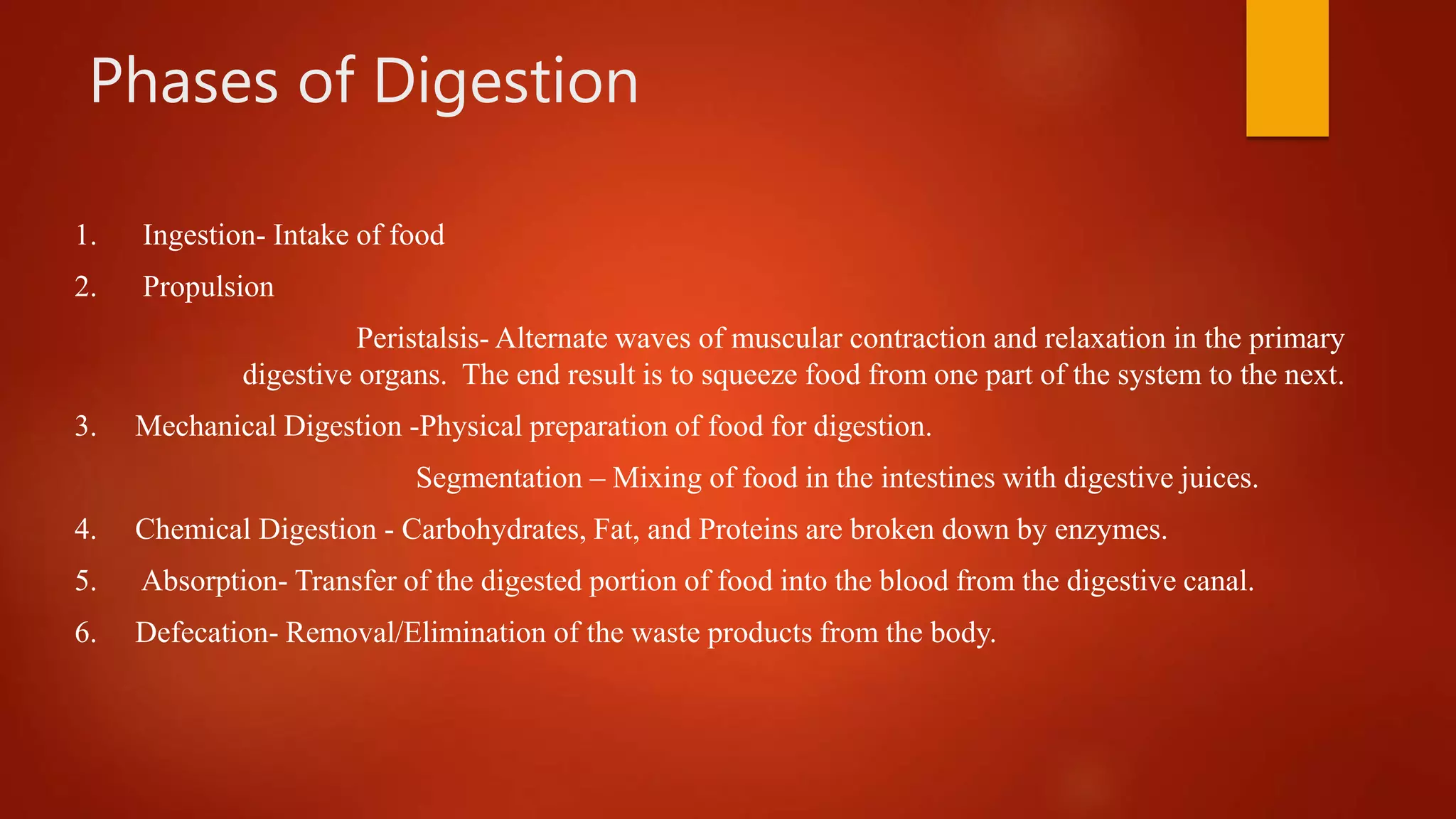 Human digestive system | PPT