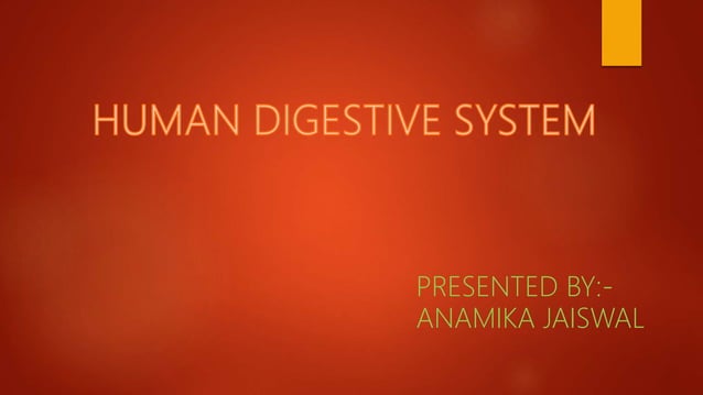 Human digestive system | PPT