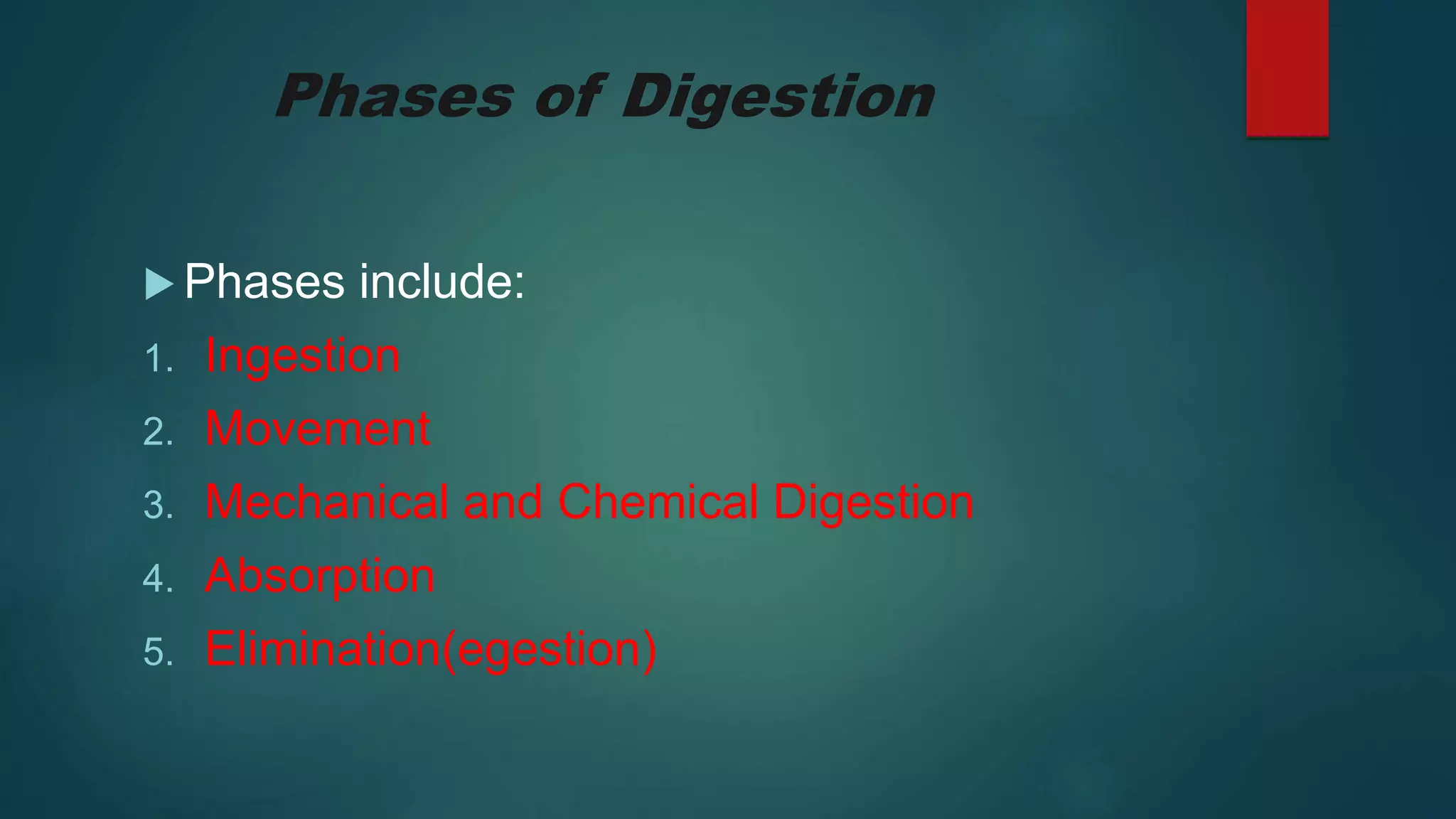 Human Digestive System | PPTX