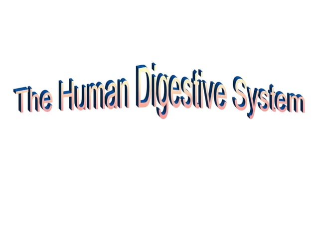 HUMAN DIGESTIVE SYSTEM.ppt
