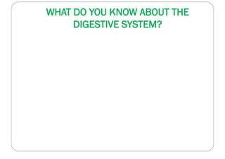 Human Digestive System | PPT