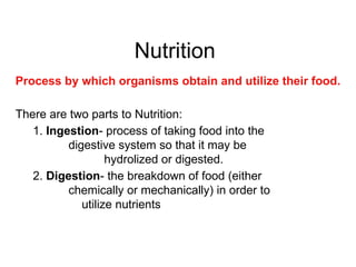 Human digestive system_structure and function.pptx