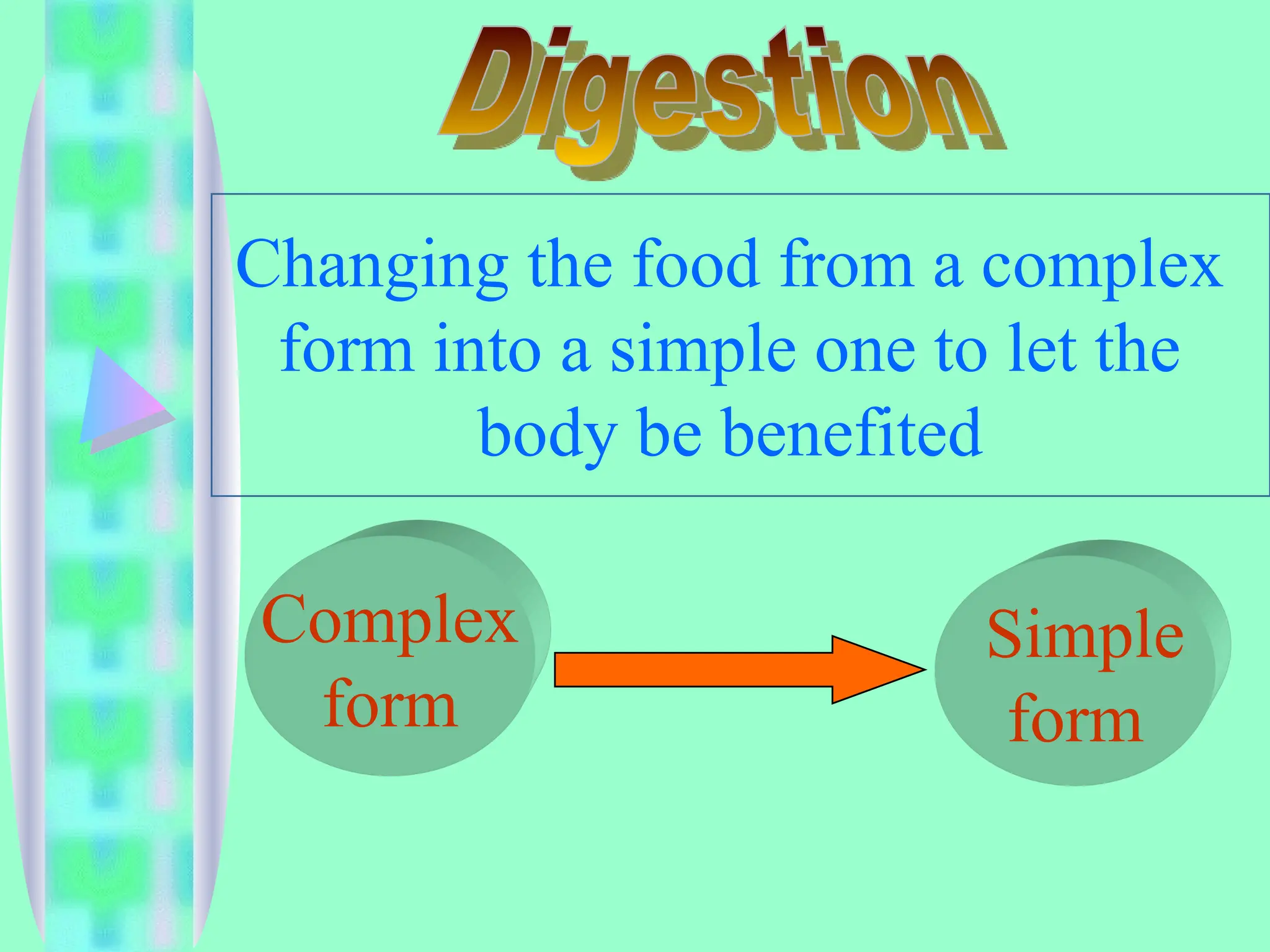 Human Digestive System structure and function.ppt