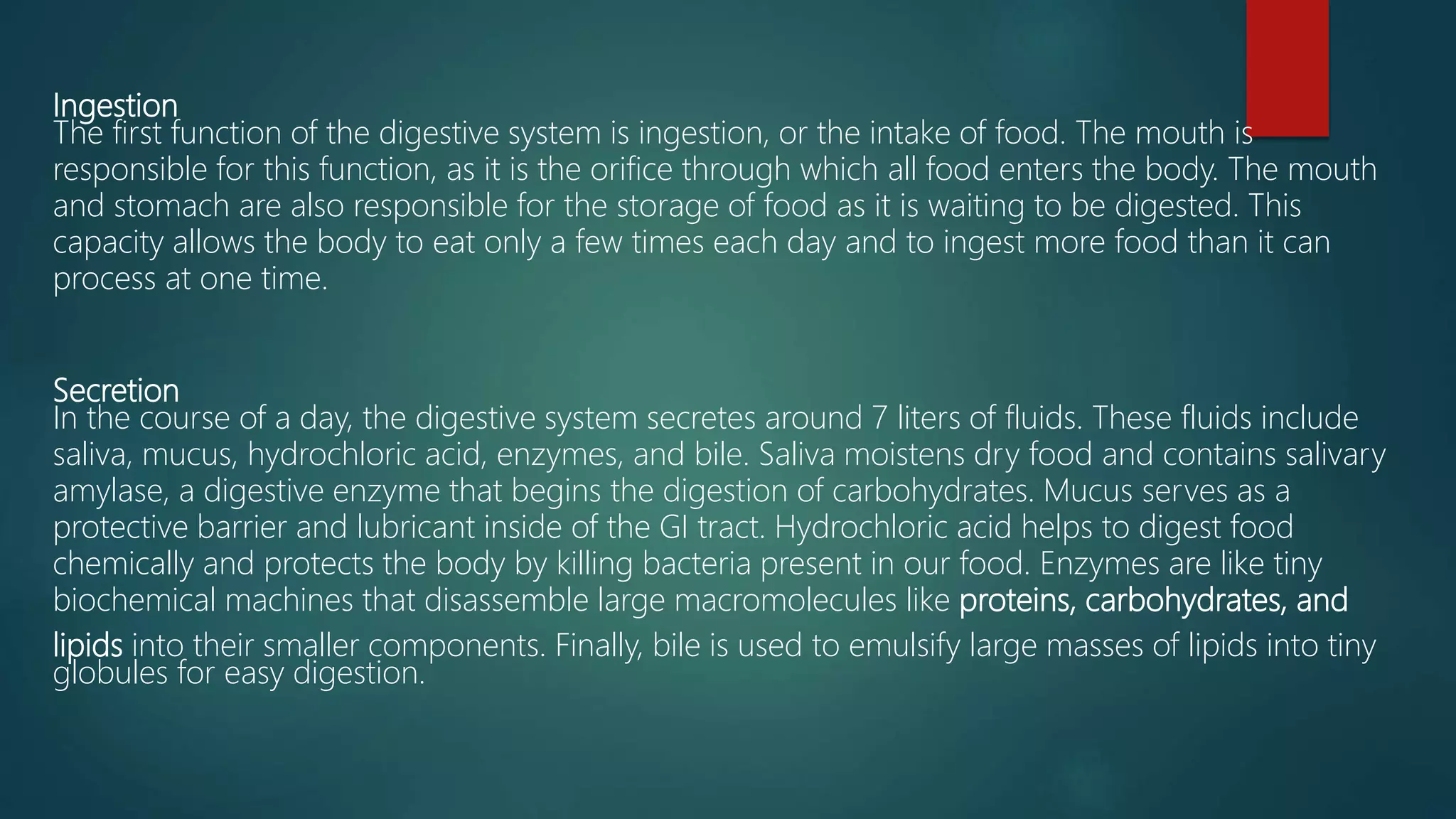 Human digestive system 1 | PPTX