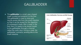 Human digestive system 1 | PPTX