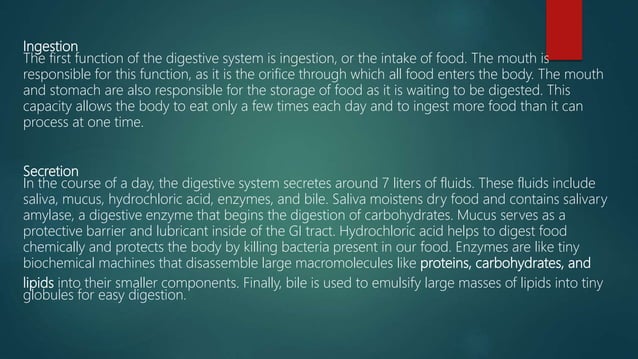Human digestive system 1 | PPT