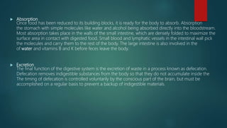 Human digestive system 1 | PPTX