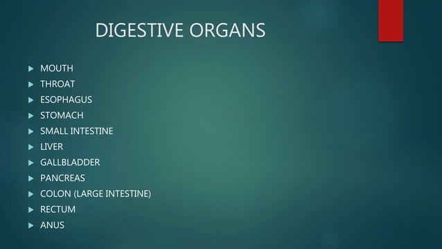 Human digestive system 1 | PPT
