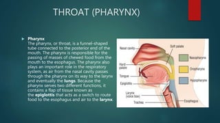 Human digestive system 1 | PPTX