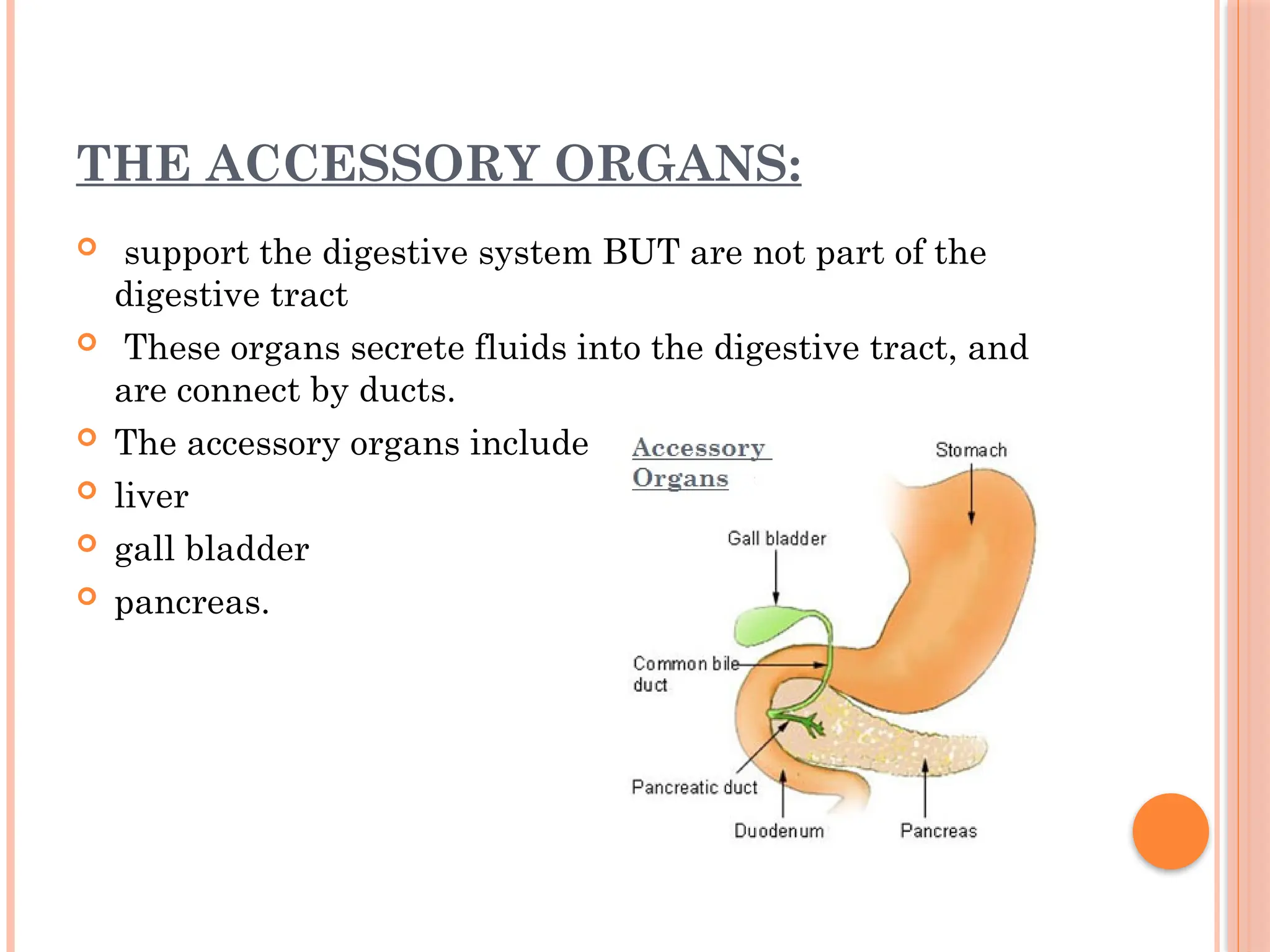 HUMAN DIGESTIVE SYSTEM BY MADAN MOHAN PANJA.pptx