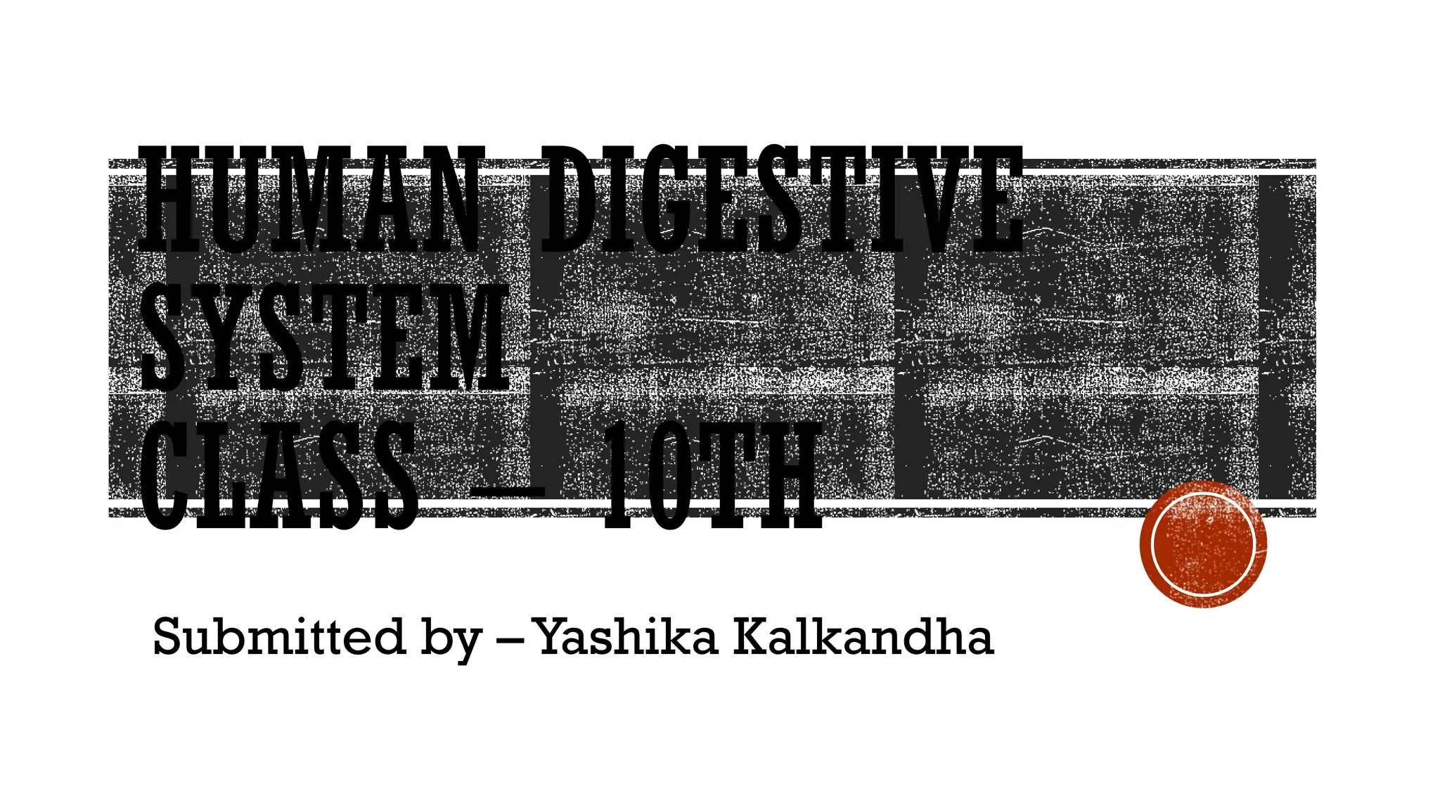 Human digestive system by yashikakalkandha.pptx