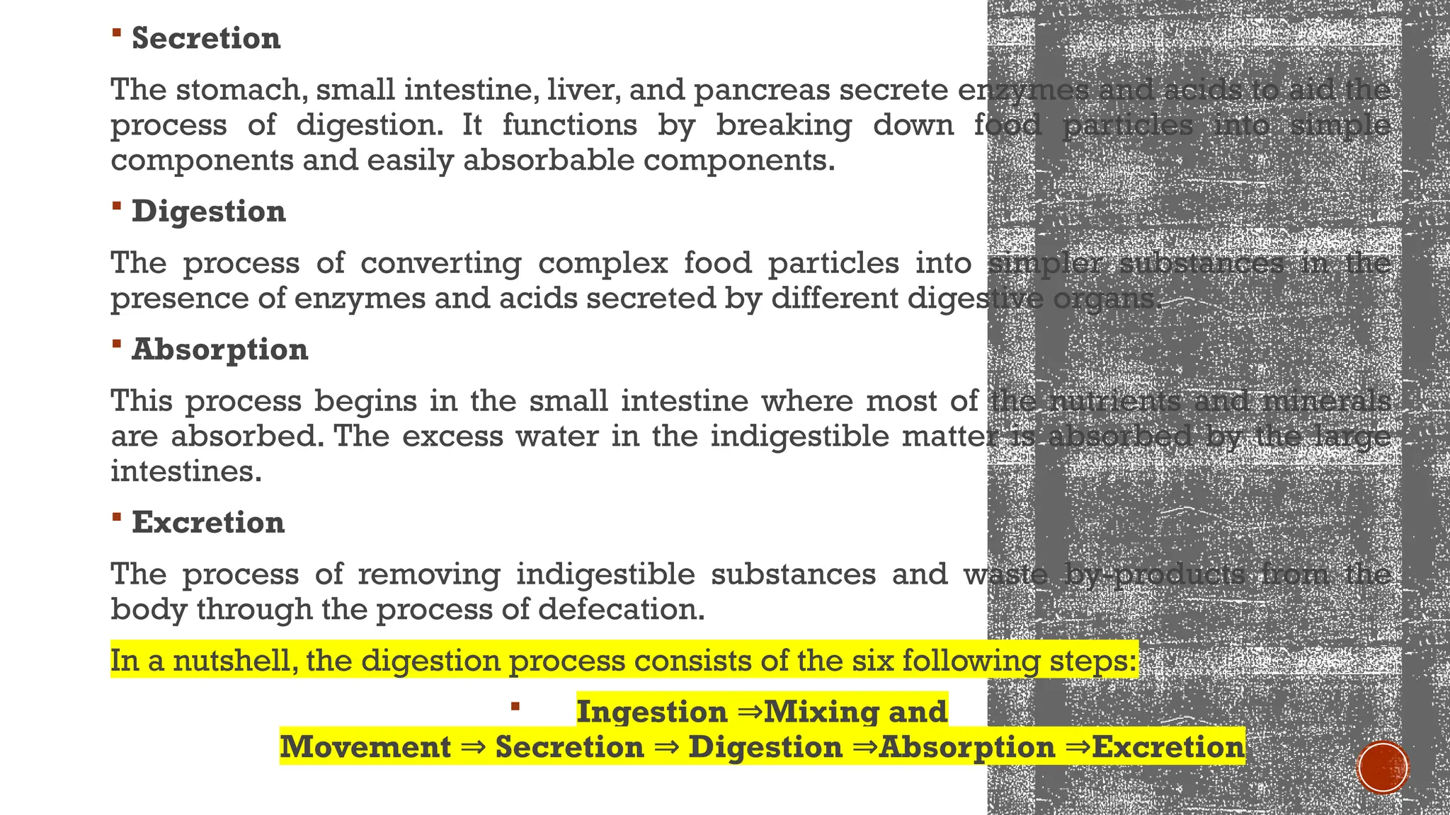 Human digestive system by yashikakalkandha.pptx