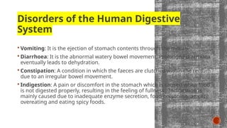 Human digestive system by yashikakalkandha.pptx
