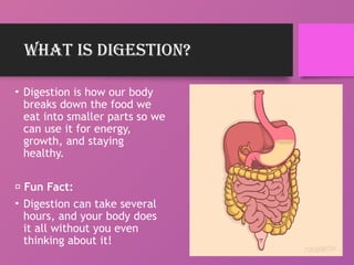 Human_Digestive_System_Grade4_Enhanced.pptx