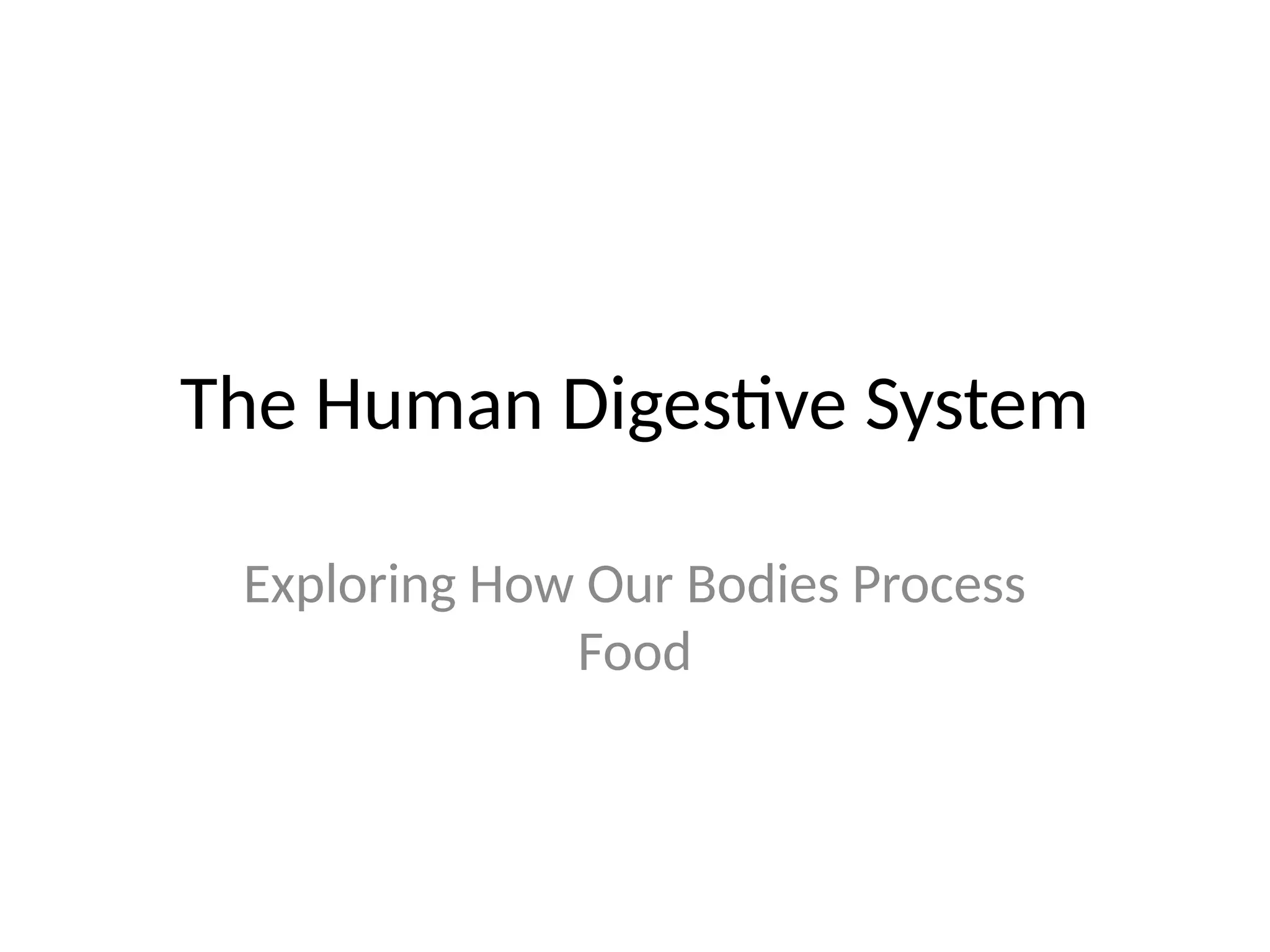 Human_Digestive_System_Grade5_Presentation.pptx