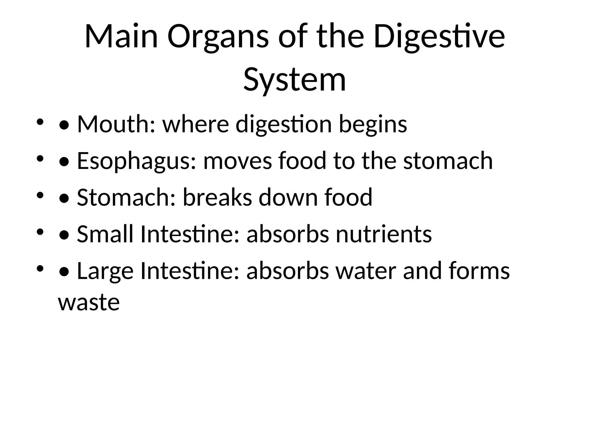 Human_Digestive_System_Grade5_Presentation.pptx