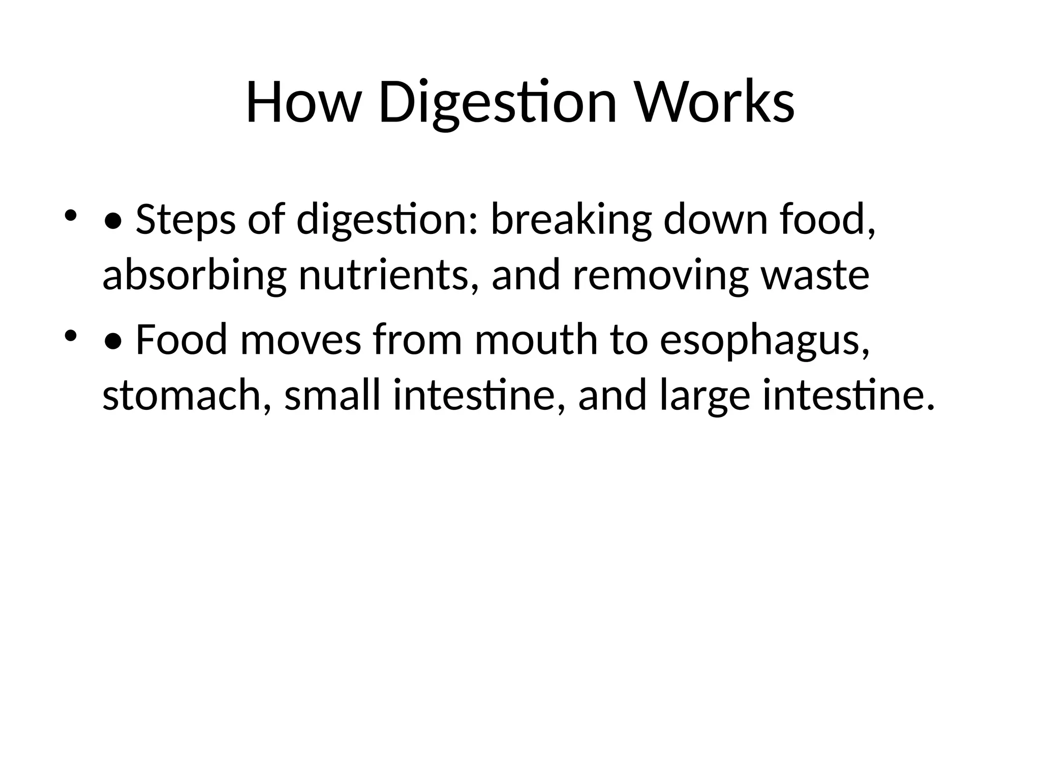 Human_Digestive_System_Grade5_Presentation.pptx