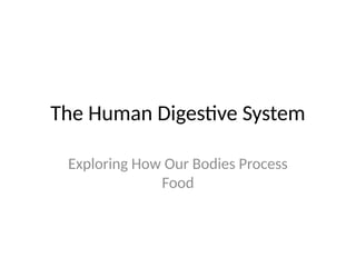 Human_Digestive_System_Grade5_Presentation.pptx