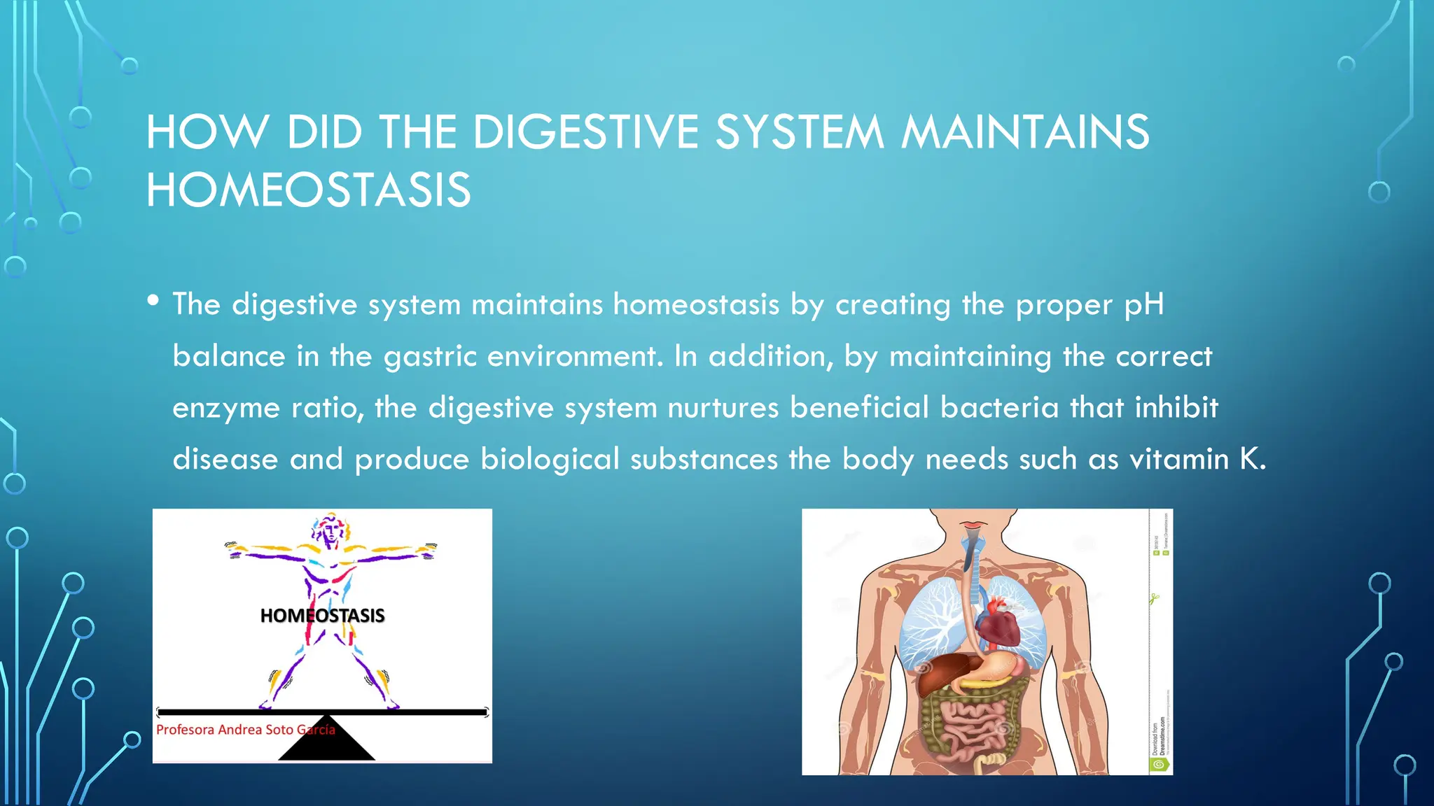 Biology: Human Digestive System ppt.pptx