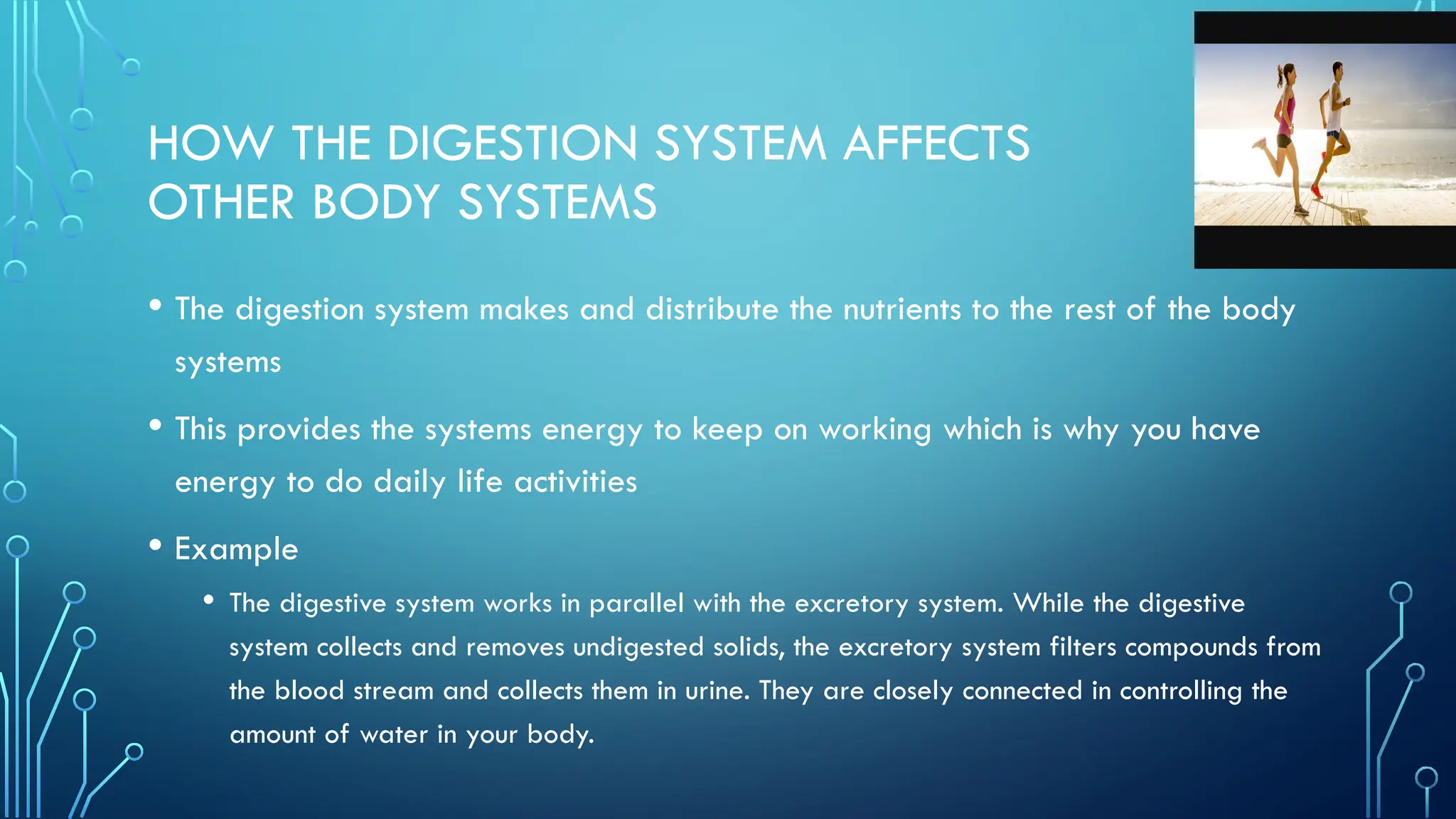Biology: Human Digestive System ppt.pptx