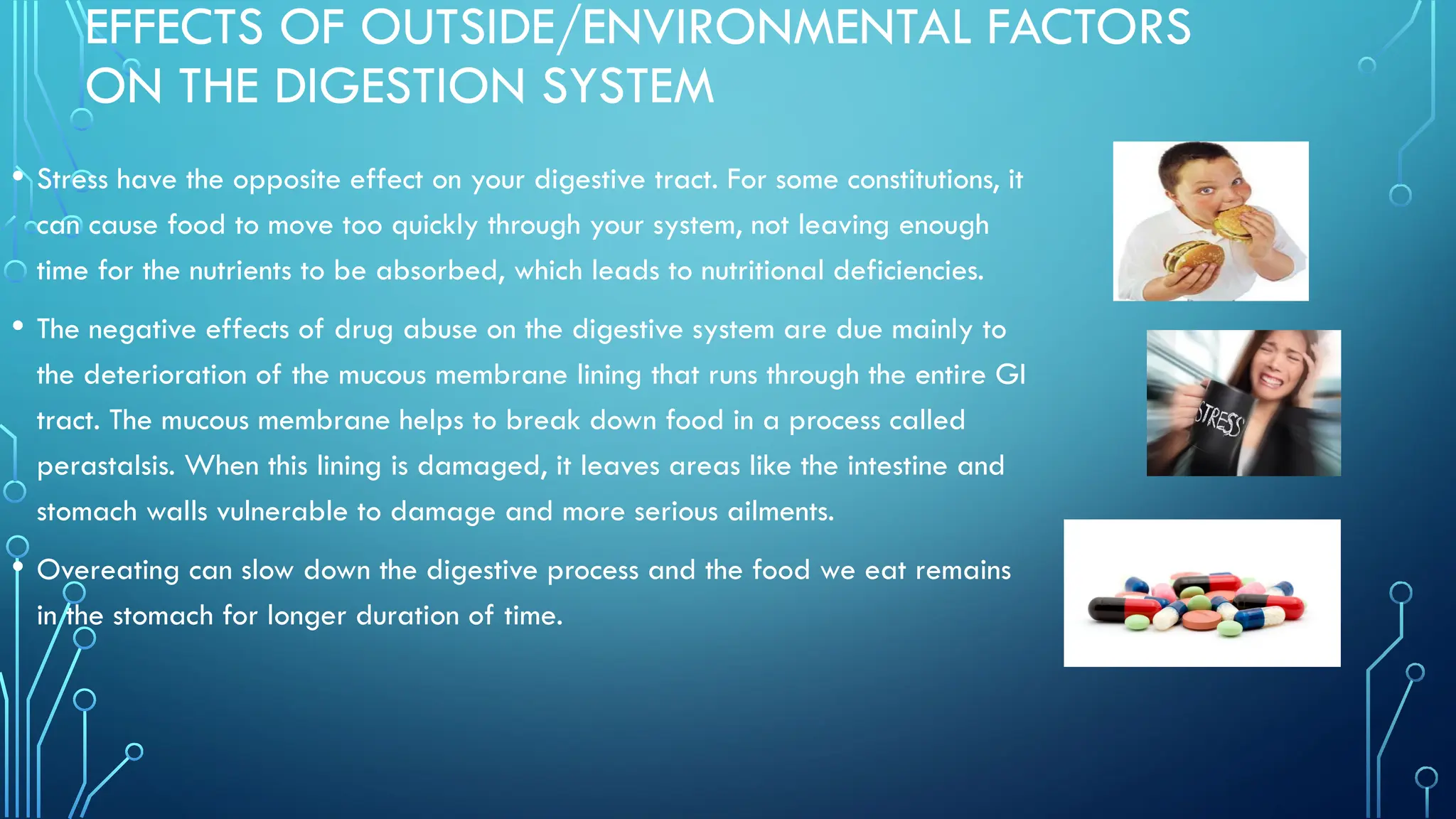 Biology: Human Digestive System ppt.pptx
