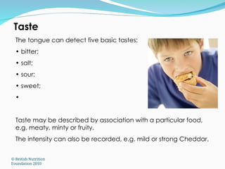 human_digestive_system_ppt.ppt9thgradebiology | PPT