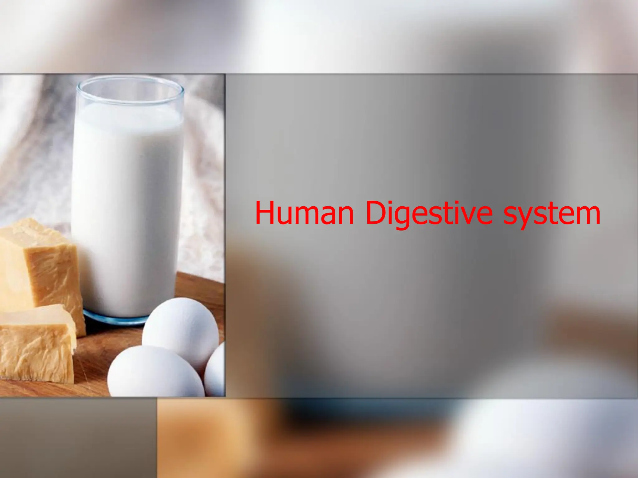 Human Digestive system Biology ppt (1).pdf