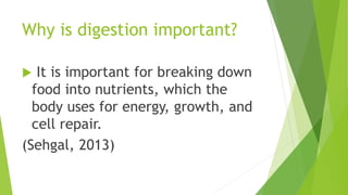 Human digestive system presentation | PPTX