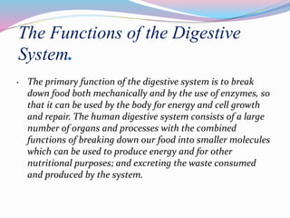 Human digestive system | PPTX