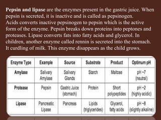 HUMAN DIGESTIVE SYSTEM | PPTX