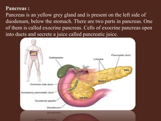 HUMAN DIGESTIVE SYSTEM | PPT