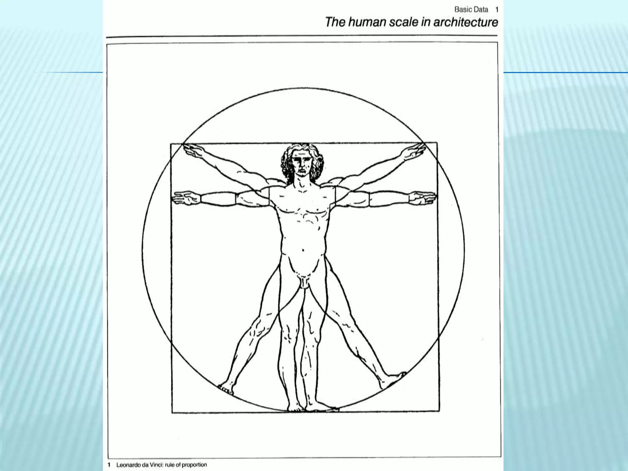 Human dimension | PPTX