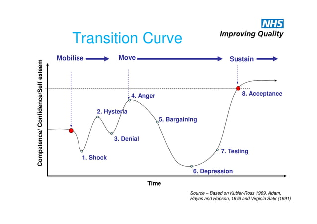 Human Dimensions of Change and Team Working | PDF
