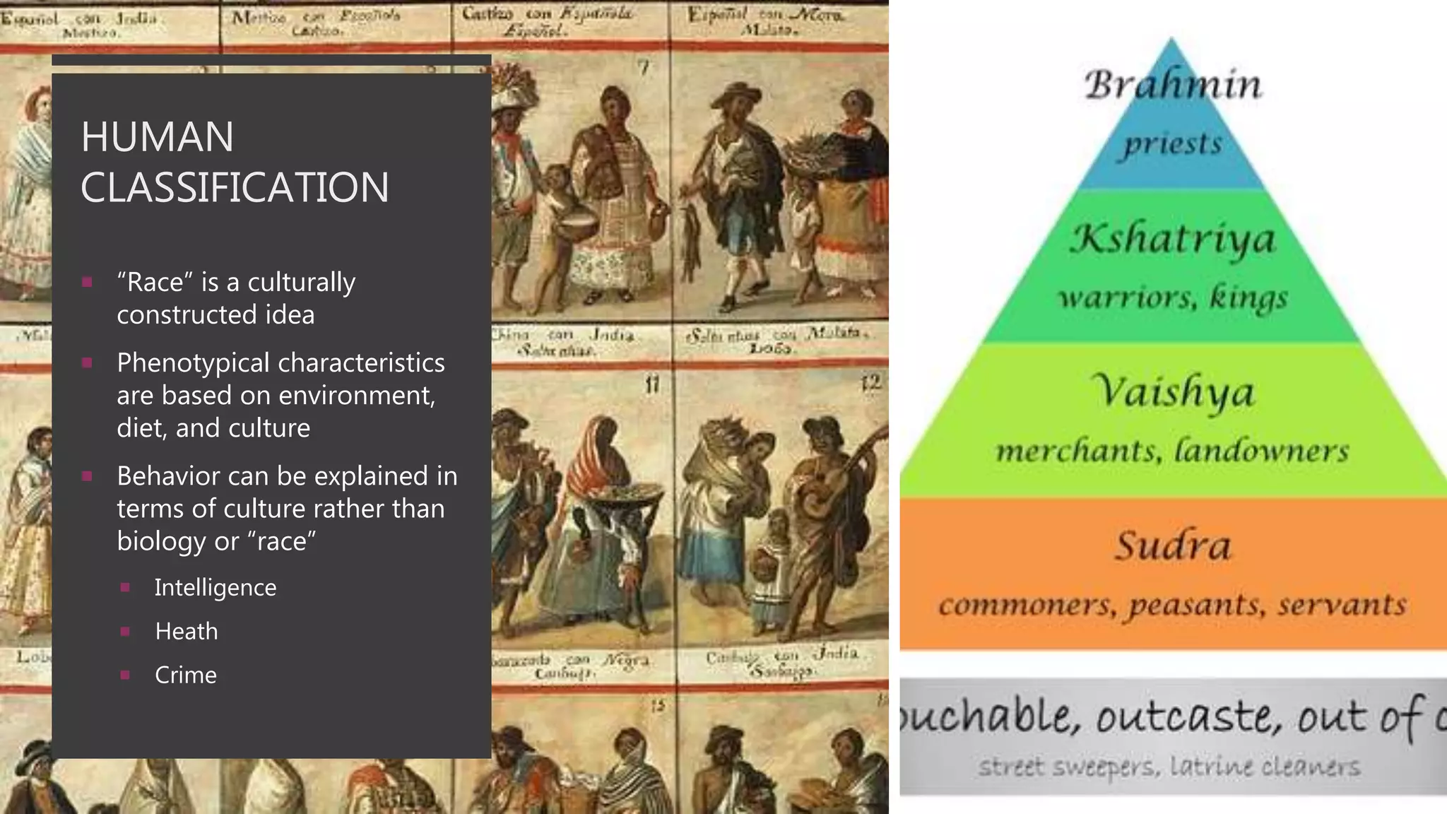 Modern Human Diversity & Adaptation to a Changing World | PPTX