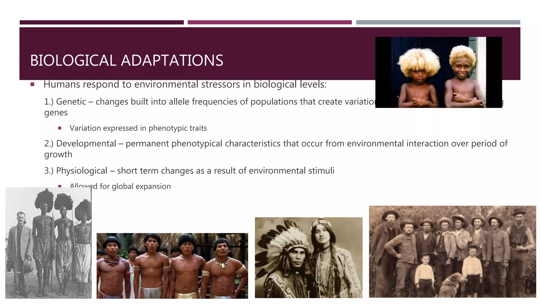Modern Human Diversity & Adaptation to a Changing World | PPTX