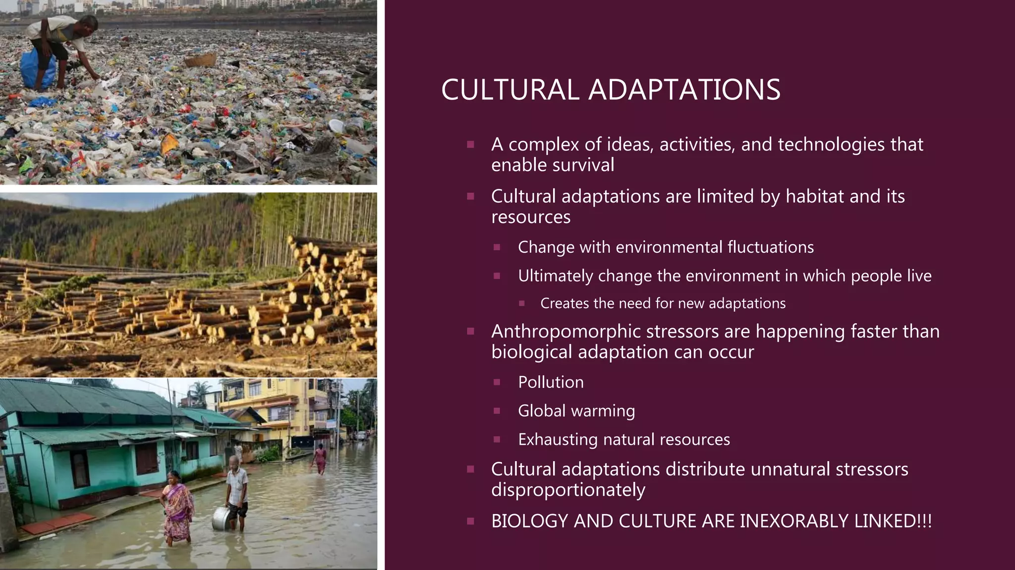 Modern Human Diversity & Adaptation to a Changing World | PPTX