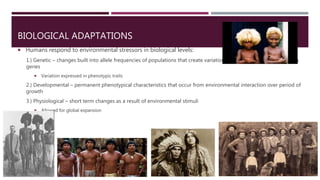 Modern Human Diversity & Adaptation to a Changing World | PPTX