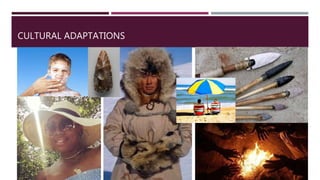 Modern Human Diversity & Adaptation to a Changing World | PPTX