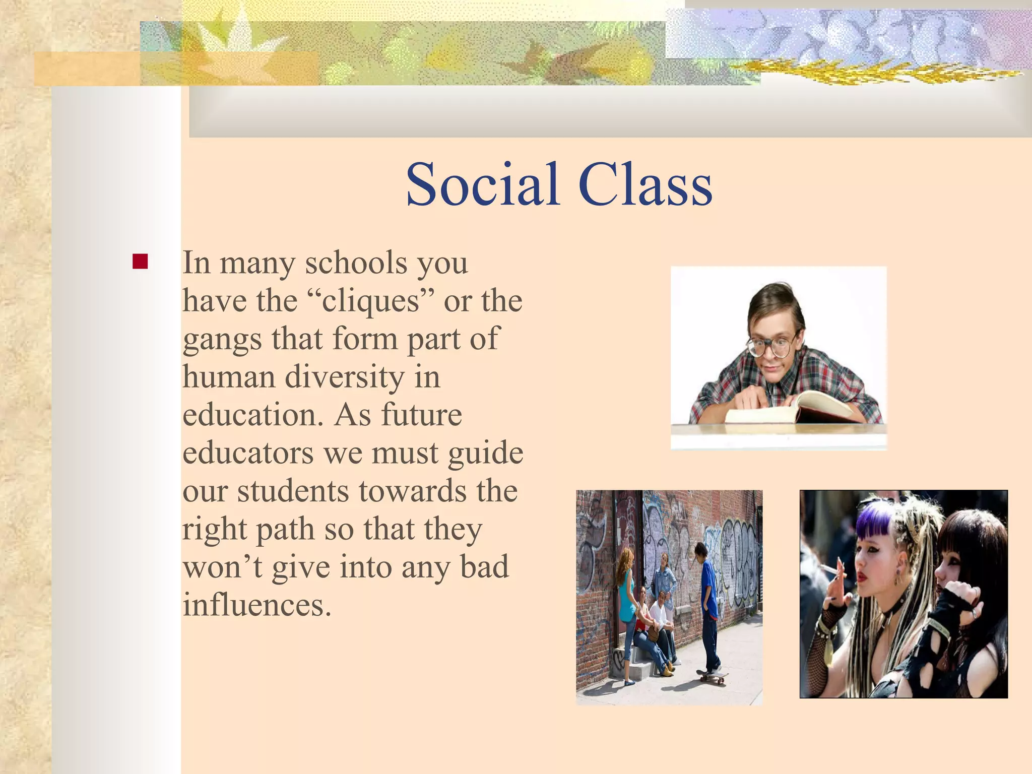 Human diversity in education | PPT