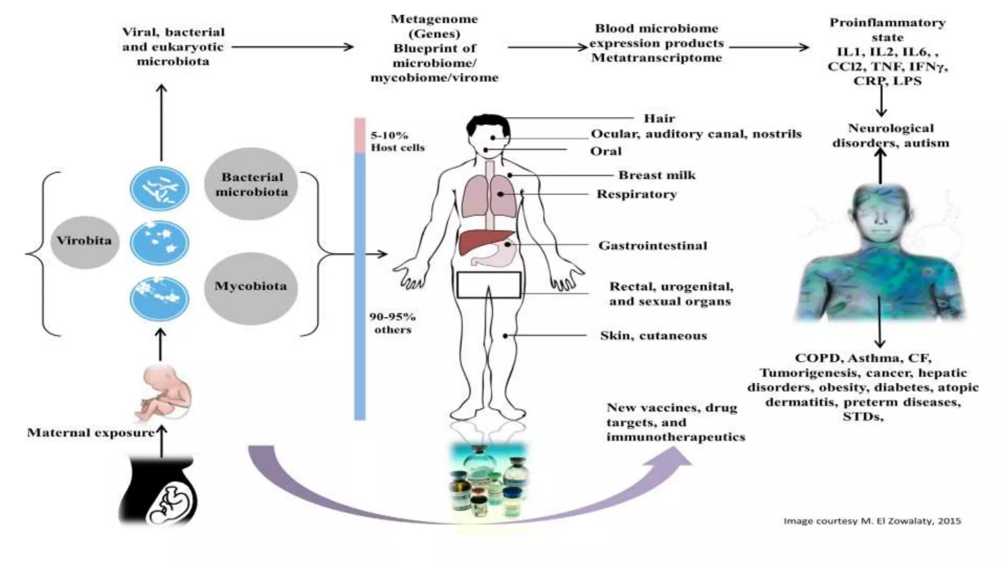 Human microbiome in health and disease | PPTX