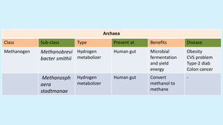 Human microbiome in health and disease | PPTX