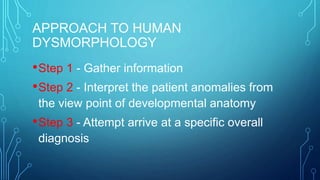 Human dysmorphism introduction | PPTX